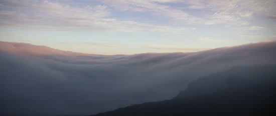 Nature cinemagraph california GIF on GIFER - by Shali