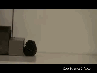 Magnets science fun GIF on GIFER - by Doomsinger