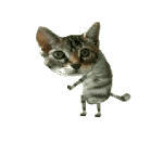 Transparent cat GIF on GIFER - by Lakelv