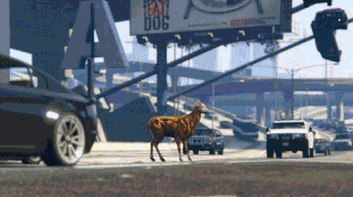 Butterfly GIF on GIFER - by Bughma