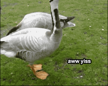 Leaving work friday GIF on GIFER - by Largas