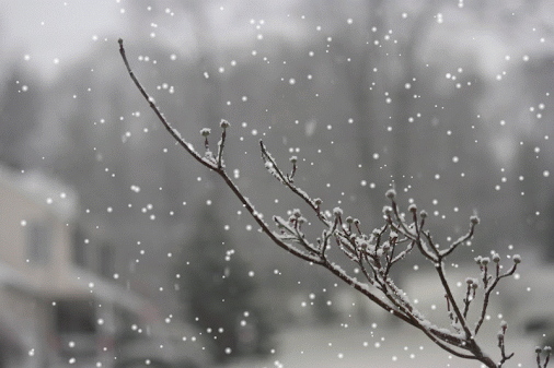 Snow GIF on GIFER - by Aralbine
