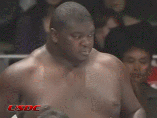 Boxing GIF on GIFER - by Sharpfury