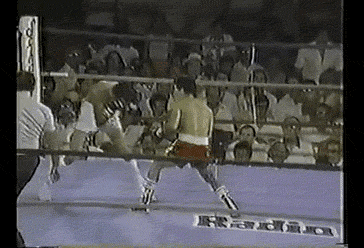 GIF boxeo boricua miguel cotto - animated GIF on GIFER - by Kenin
