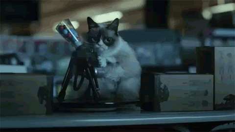 Søt Anime Hund Gif 𝔹𝕊𝔻