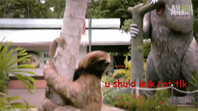 Reaction sloth sloths GIF on GIFER - by Cern