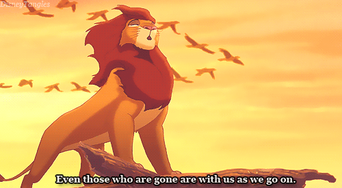 Gifs Divertidos Del Rey León MIEDO. DISNEY. Libro En Papel.