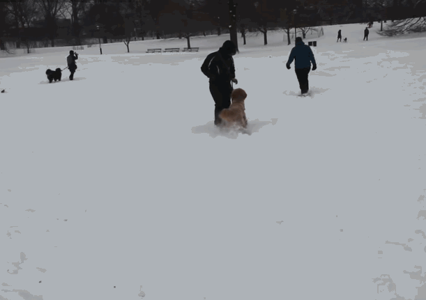 Snow winter nyc GIF on GIFER - by Kazrar