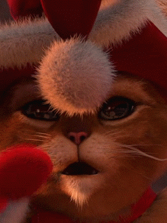 Christmas cat cat GIF on GIFER - by Duk
