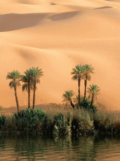 Desert GIF on GIFER - by Balladomand