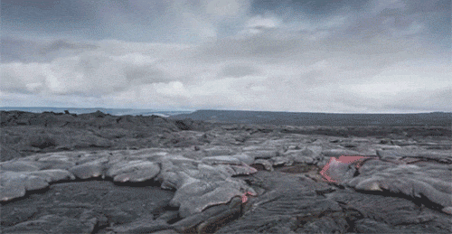 Magma animals GIF on GIFER - by Goltitilar