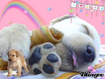 Sheepish aladdin GIF en GIFER - de Tushicage