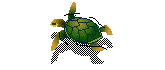 GIF turtle - animated GIF on GIFER - by Dalaginn