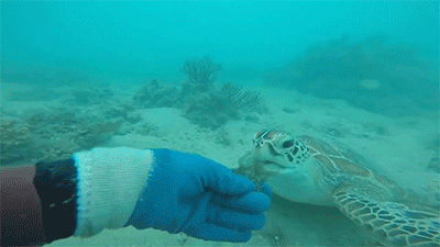 Engineering science robotics GIF on GIFER - by Busida