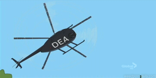 Television weed bobs burgers GIF on GIFER - by Dawnbringer