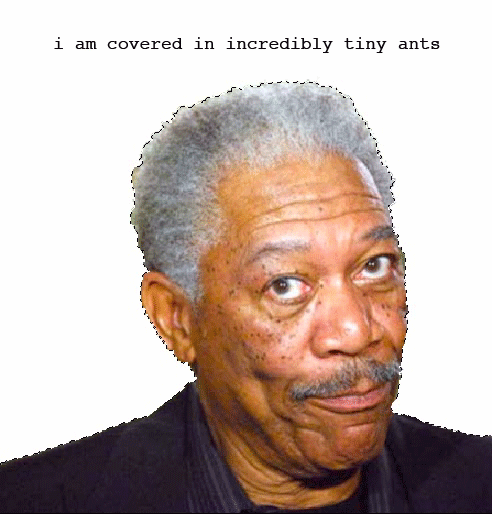 GIF funny morgan freeman - animated GIF on GIFER - by Nilanadar