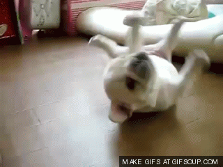 Rolling GIF on GIFER - by Adorarana