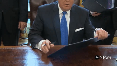 Trump donald trump GIF on GIFER - by Bludsong