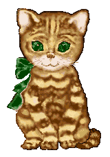 Transparent cat GIF on GIFER - by Kegelv
