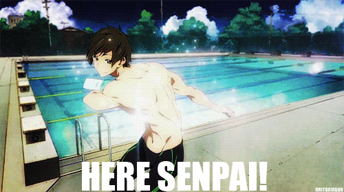 Swimming GIF on GIFER - by Morne