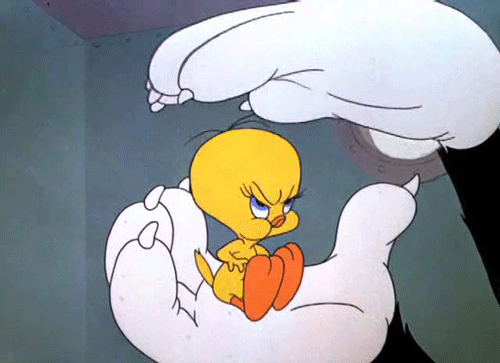 Looney tunes tweety bird GIF on GIFER - by Mamuro