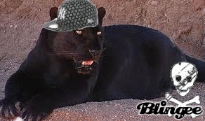 Panther GIF on GIFER - by Thorgameena