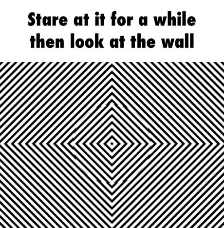 The wall GIF on GIFER - by Mezizragore