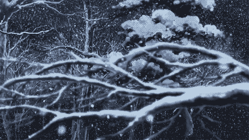 Winter snowing GIF on GIFER - by Yogul
