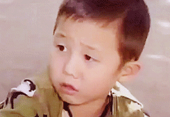 GIF drake drizzy ovo fest - animated GIF on GIFER - by Tedwyn