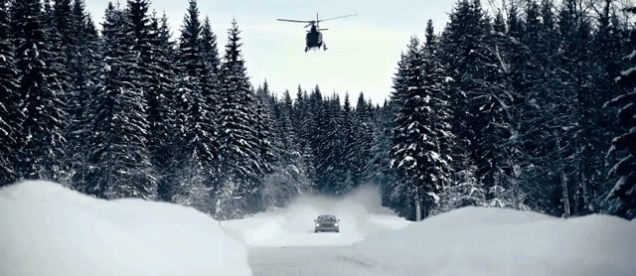 Forest GIF on GIFER - by Centrindis