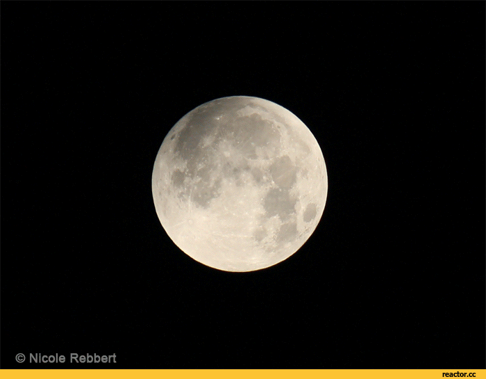GIF moon - animated GIF on GIFER - by Aurisius