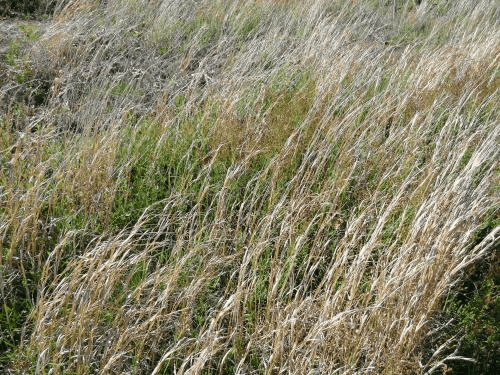 GIF waves - animated GIF on GIFER - by Siradred