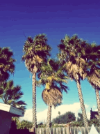 California la GIF on GIFER - by Brak