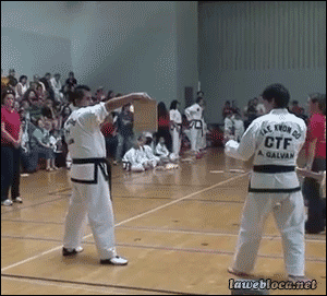 Perfect kick pass GIF on GIFER - by Dalkis