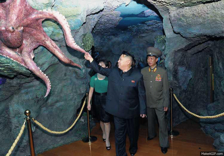 Octopus hand GIF on GIFER - by Muniwield