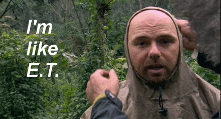 Ed GIF on GIFER - by Cothis