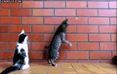 Billy Crystal Princess Bride Gif