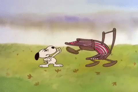 Peanuts charlie brown GIF on GIFER - by Naramar