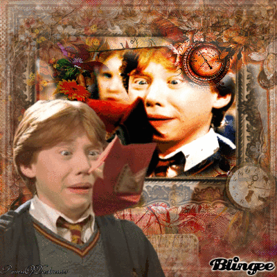 GIF ron weasley - animated GIF on GIFER - by Umnin