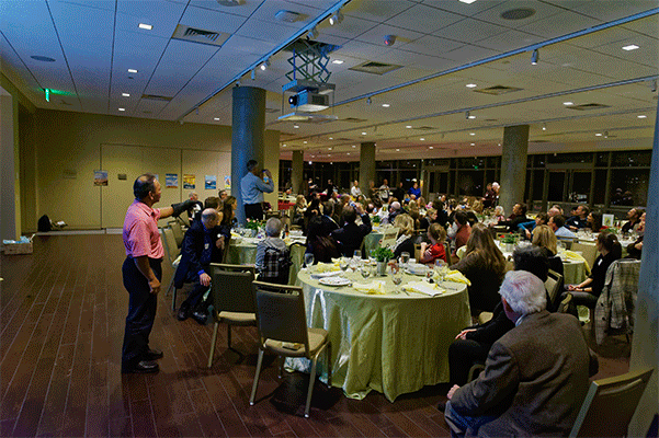 Prairie dog GIF on GIFER - by Fordrezan