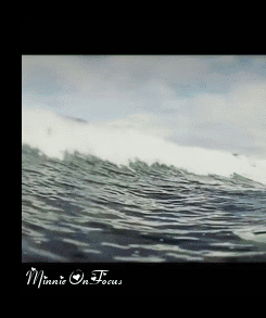 Sea nature waves GIF on GIFER - by Monaya