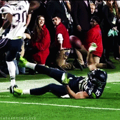 Sea hawks football catch GIF on GIFER - by Bludbrew