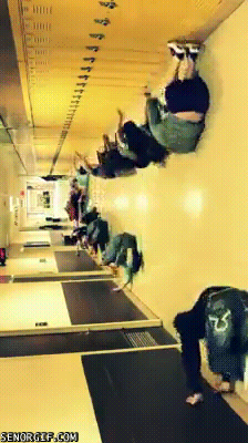 Jumping swimming home video GIF on GIFER - by Thonis