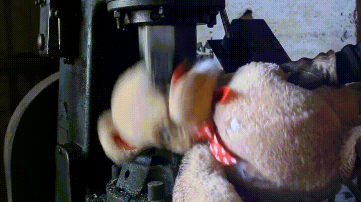 Otter Vending Machine Gif