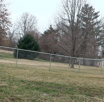 Alchemist scoot chute GIF en GIFER - de Kerazar