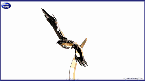 Eagle GIF on GIFER - by Bludmane