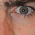 The regular show fat kid cartoon network GIF sur GIFER - par Maron