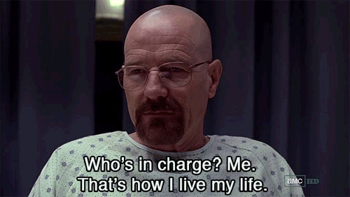 Breaking bad walter white bryan cranston GIF on GIFER - by Yggtius