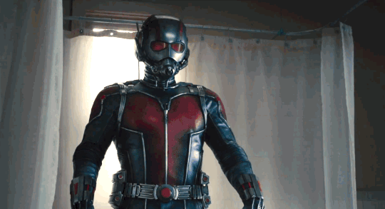 GIF 500 marvel paul rudd - animated GIF on GIFER - by Gadwyn
