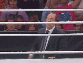 GIF paul heyman - animated GIF on GIFER - by Kagami